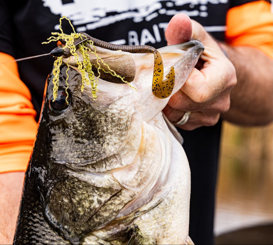 FUZZY BAITS